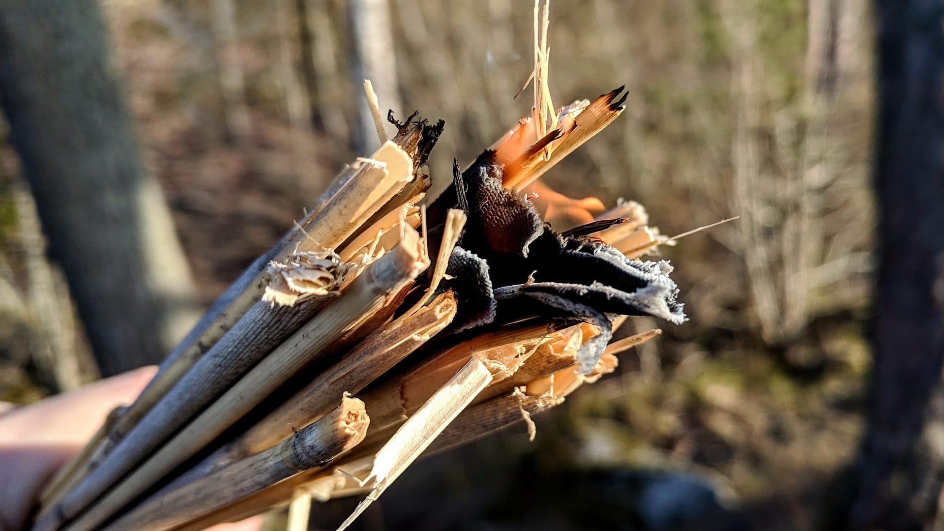 How To Making Char Cloth (Tinder) | Nordic Wildwood | Outdoor